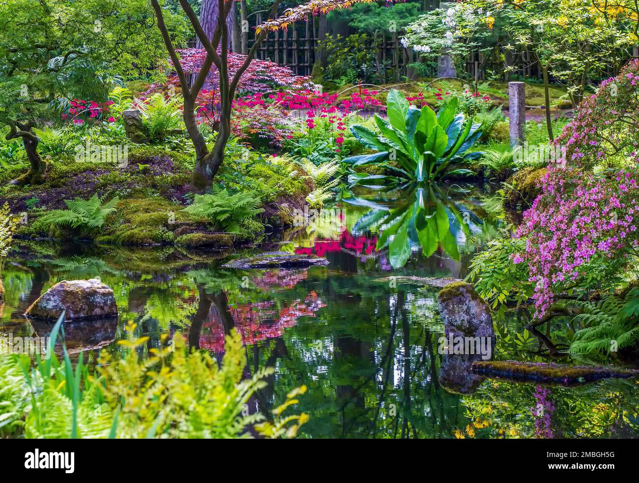 Pink, red flowers in landscaoe in japanese garden in the Hague.And ...
