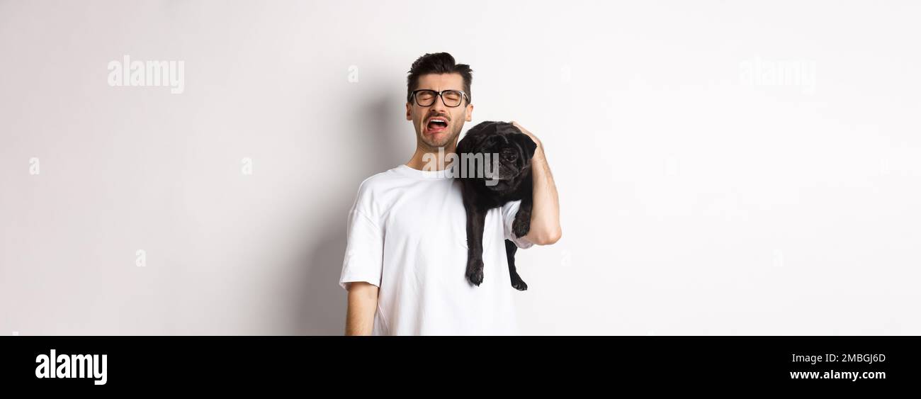 Crying pug dog hi-res stock photography and images - Alamy