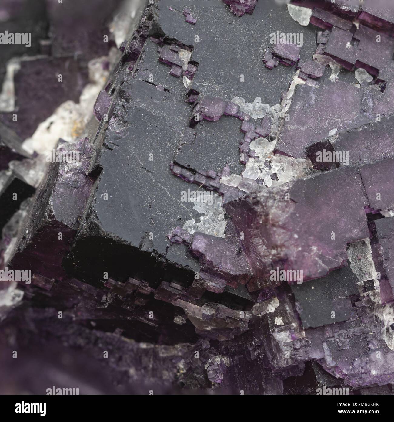 Violet fluorite, macro detail, texture background. semi-precious ...