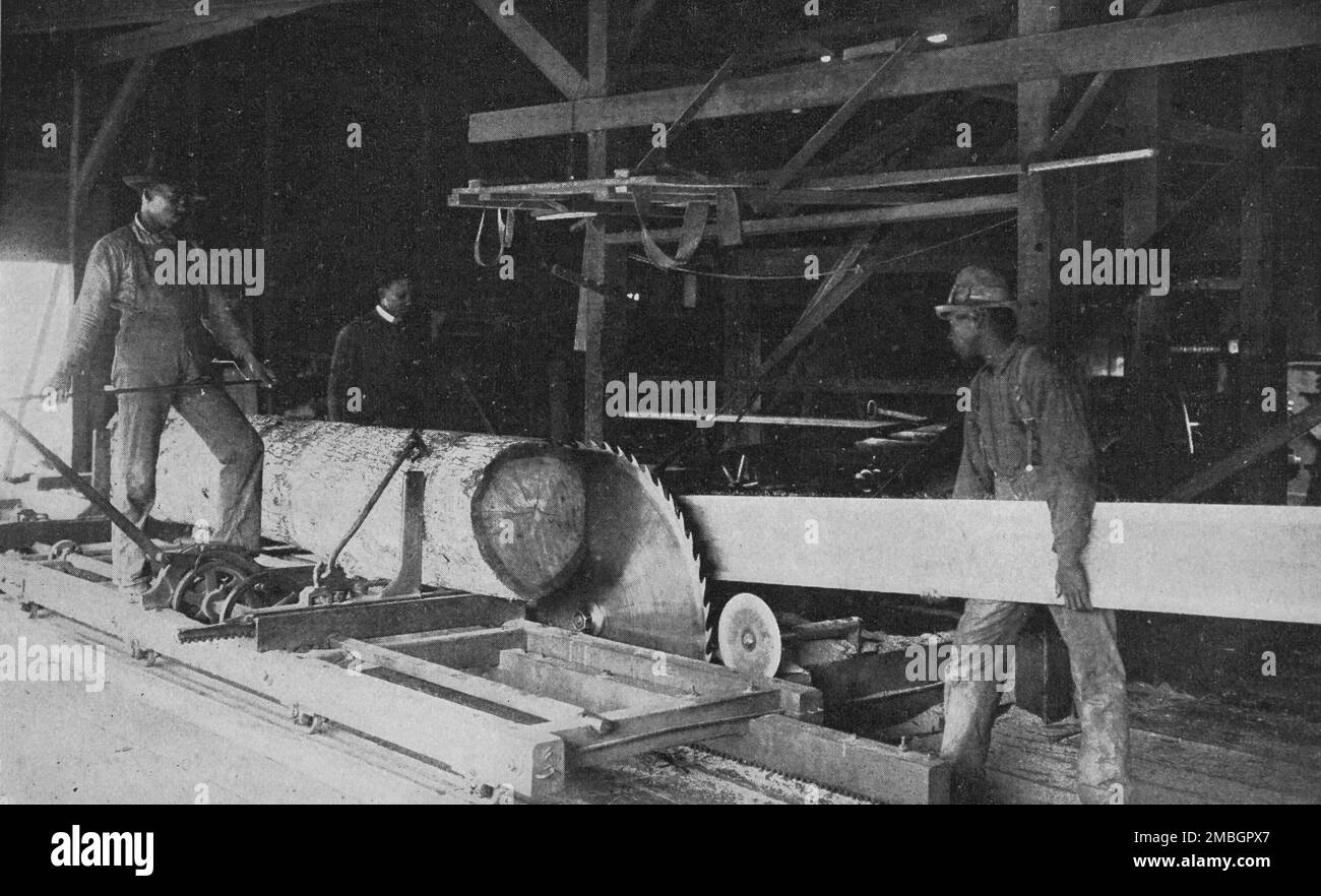 1900s sawmill hi-res stock photography and images - Alamy 1900s sawmill hi-res stock photography and images - Alamy