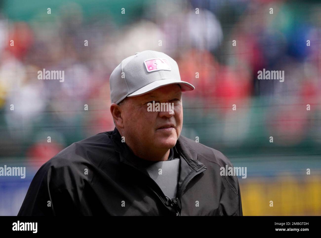 Home plate umpire Ron Kulpa looks on before the start of a baseball ...