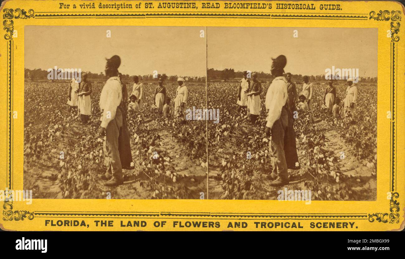 Cotton plantation florida 19th century hi-res stock photography and ...