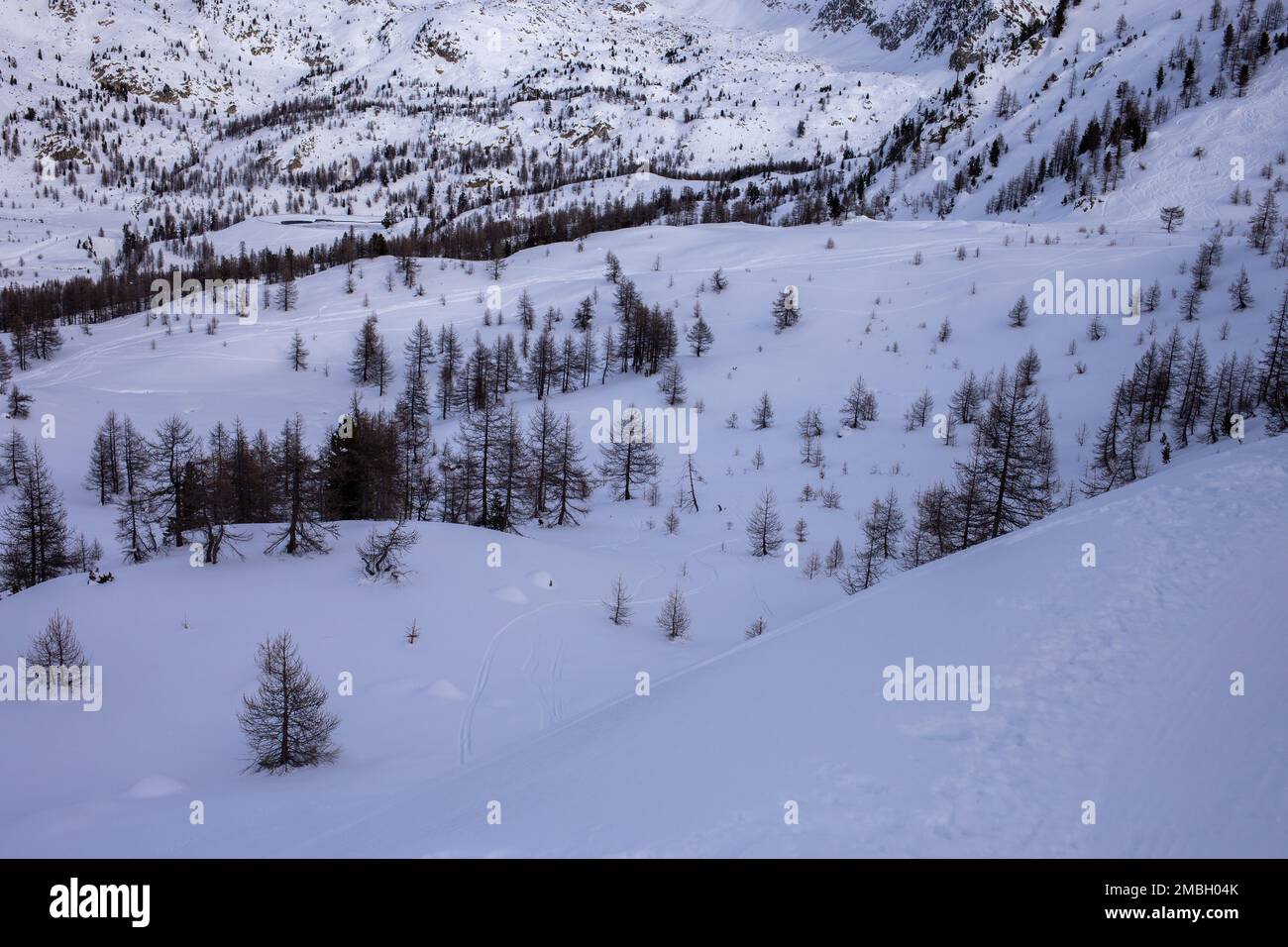 Winter snowy landscape. Nature scenery. Winter background. Alpine ...