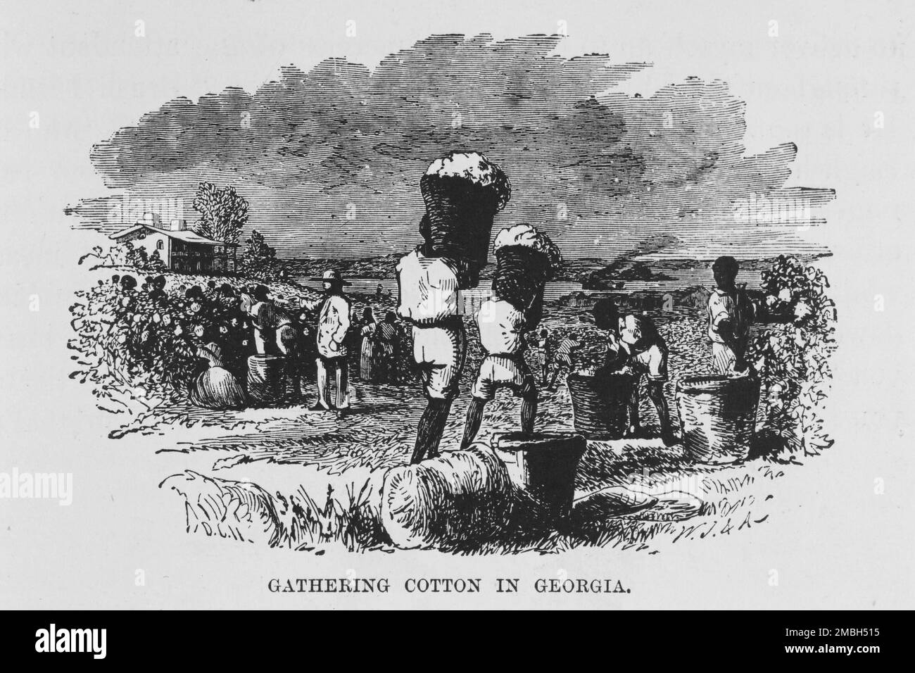 Slave plantation georgia hi-res stock photography and images - Alamy