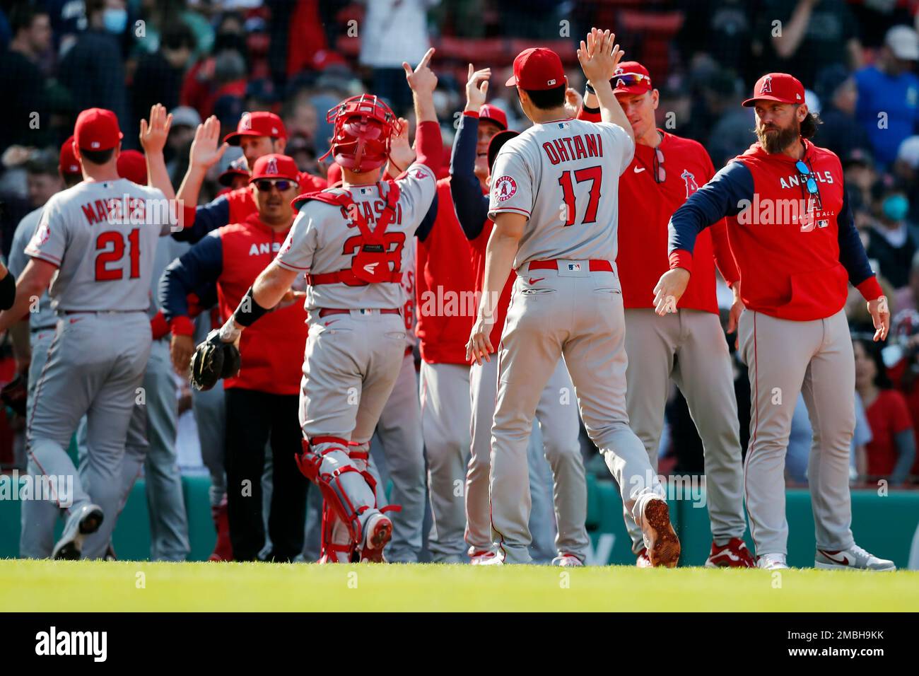 Los Angeles Angels' Shohei Ohtani (17) celebrates with teammates after ...