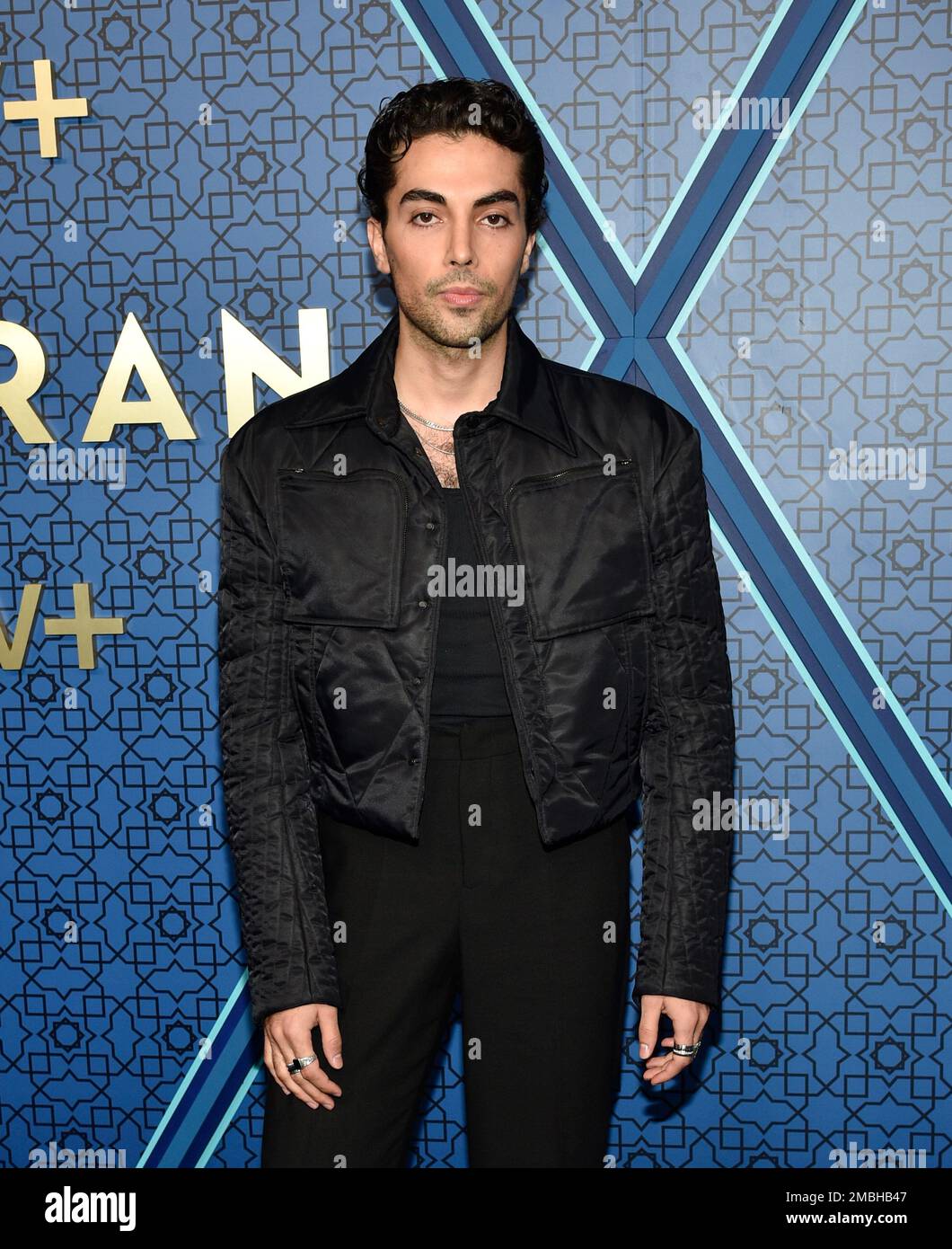 Actor Shervin Alenabi attends Apple TV's "Tehran" season two premiere ...