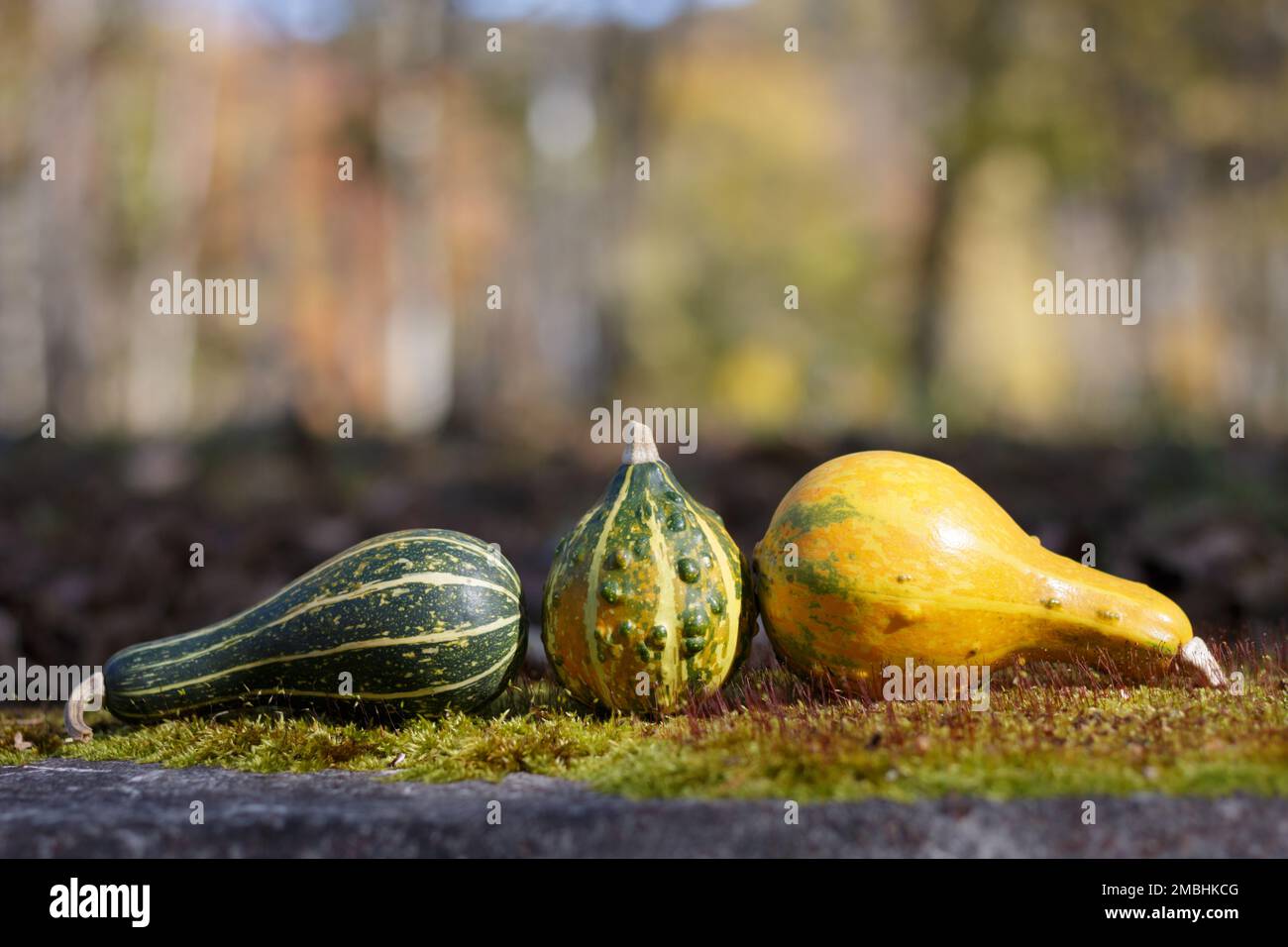 Small decorative objects hi-res stock photography and images - Alamy