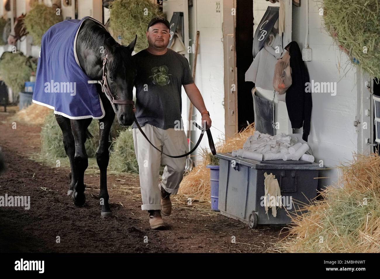 Kentucky Derby entrant Zandon is walked in his barn after a morning ...