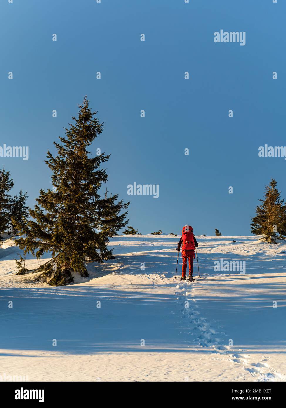 Snowshoe hiker in red walking with backpack and hiking poles leaving ...
