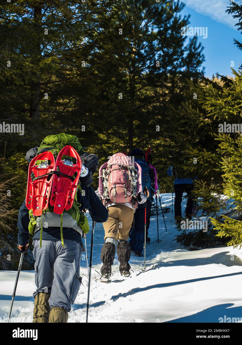 Group of people walking hiking with backpacks and snowshoes through a ...