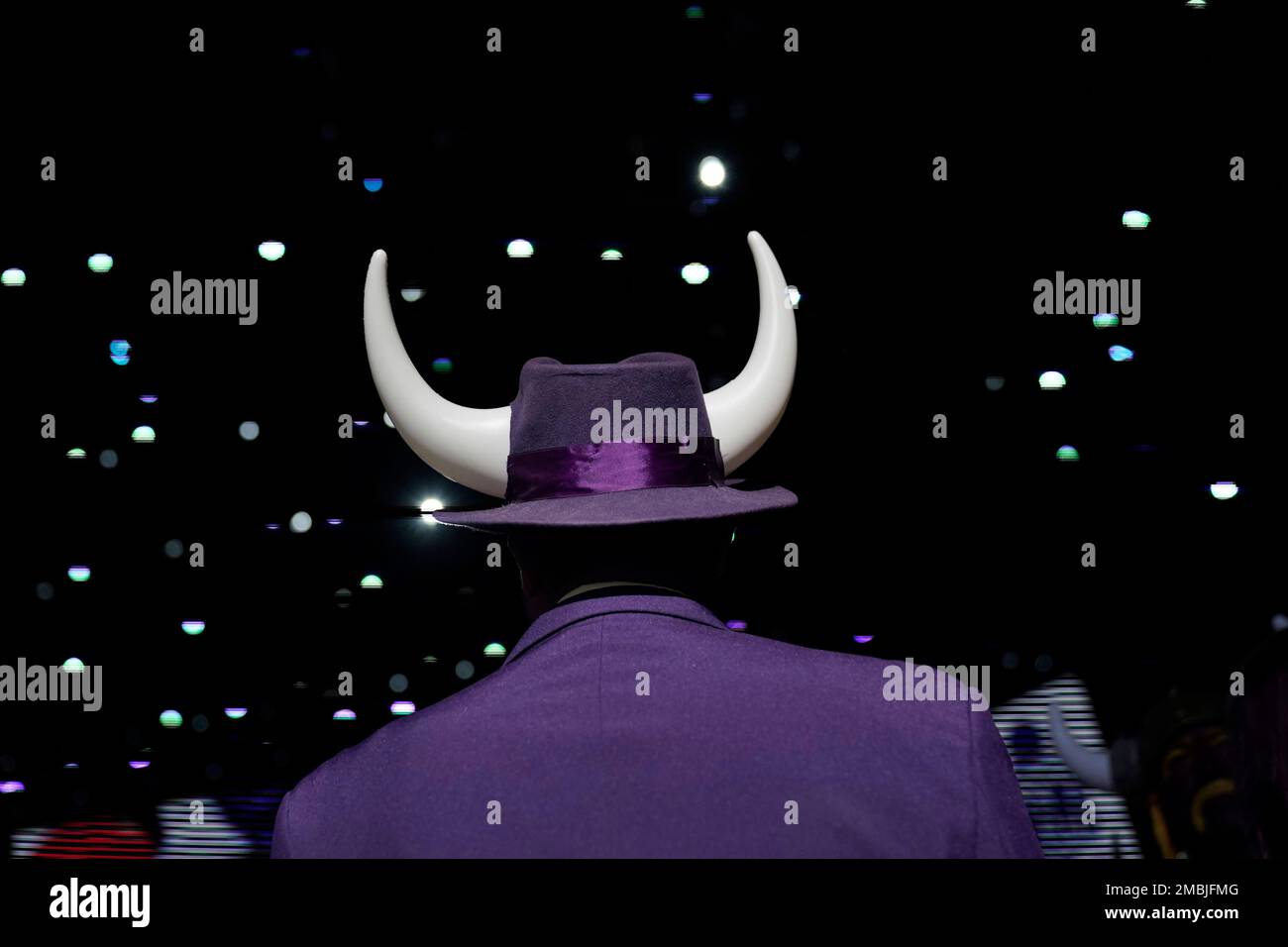 A Minnesota Viking fan wears a costume during the first round of the ...