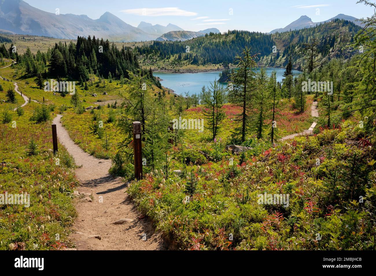 September hiking with some Fall colour in Mt Assiniboine Provincial ...