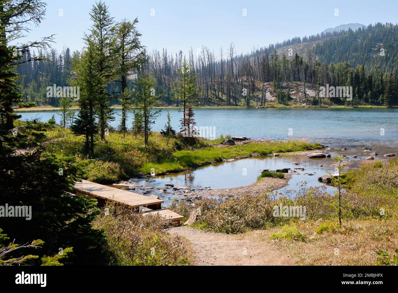 Grizzly-Larix Lake loop trail beside Larix Lake in Mt Assiniboine ...