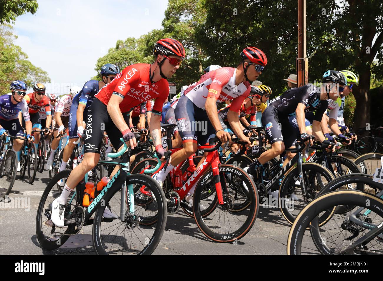 Riders competing in Stage 3 of the 2023 Tour Down Under in Adelaide ...