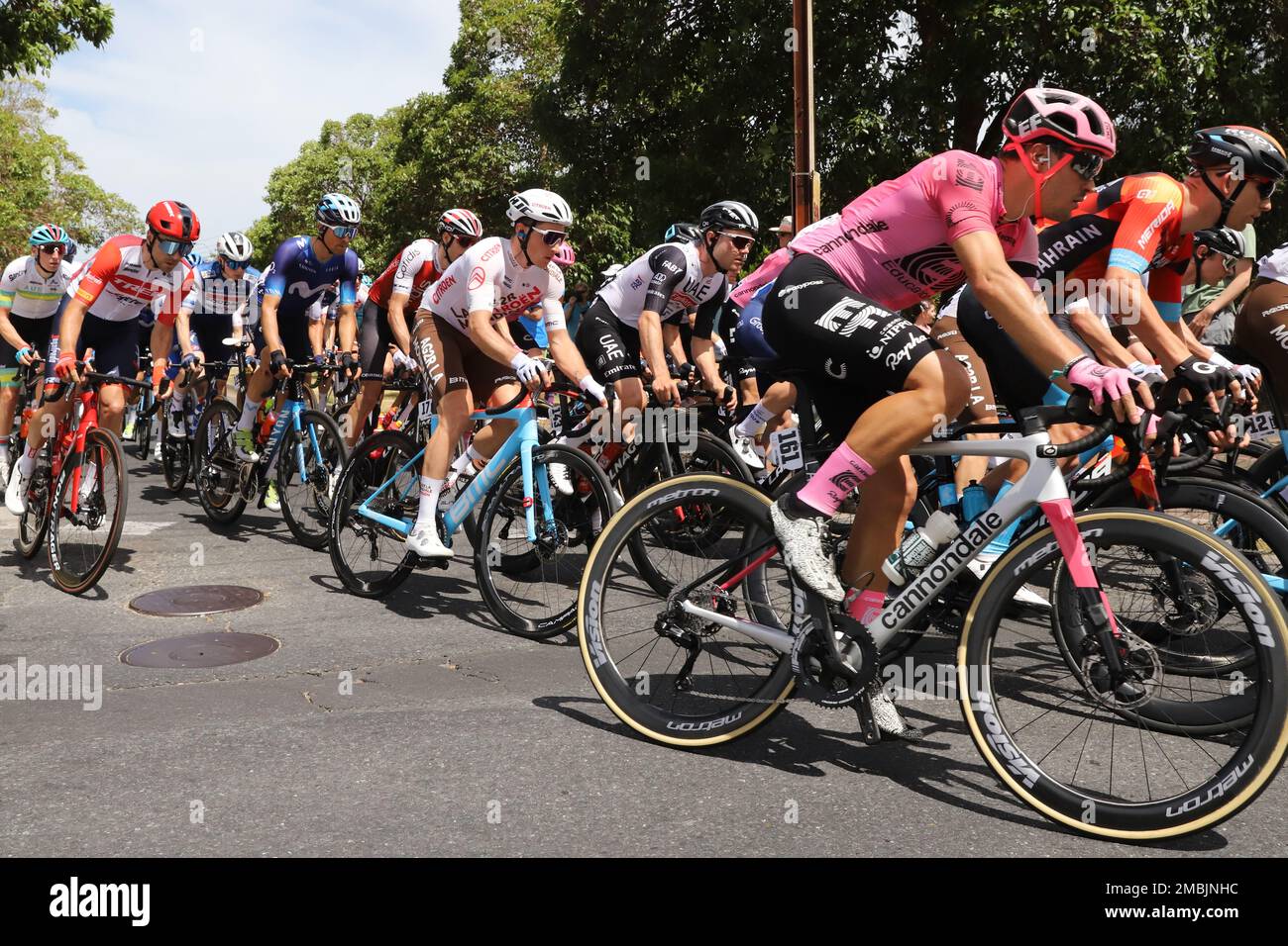 Riders competing in Stage 3 of the 2023 Tour Down Under in Adelaide ...