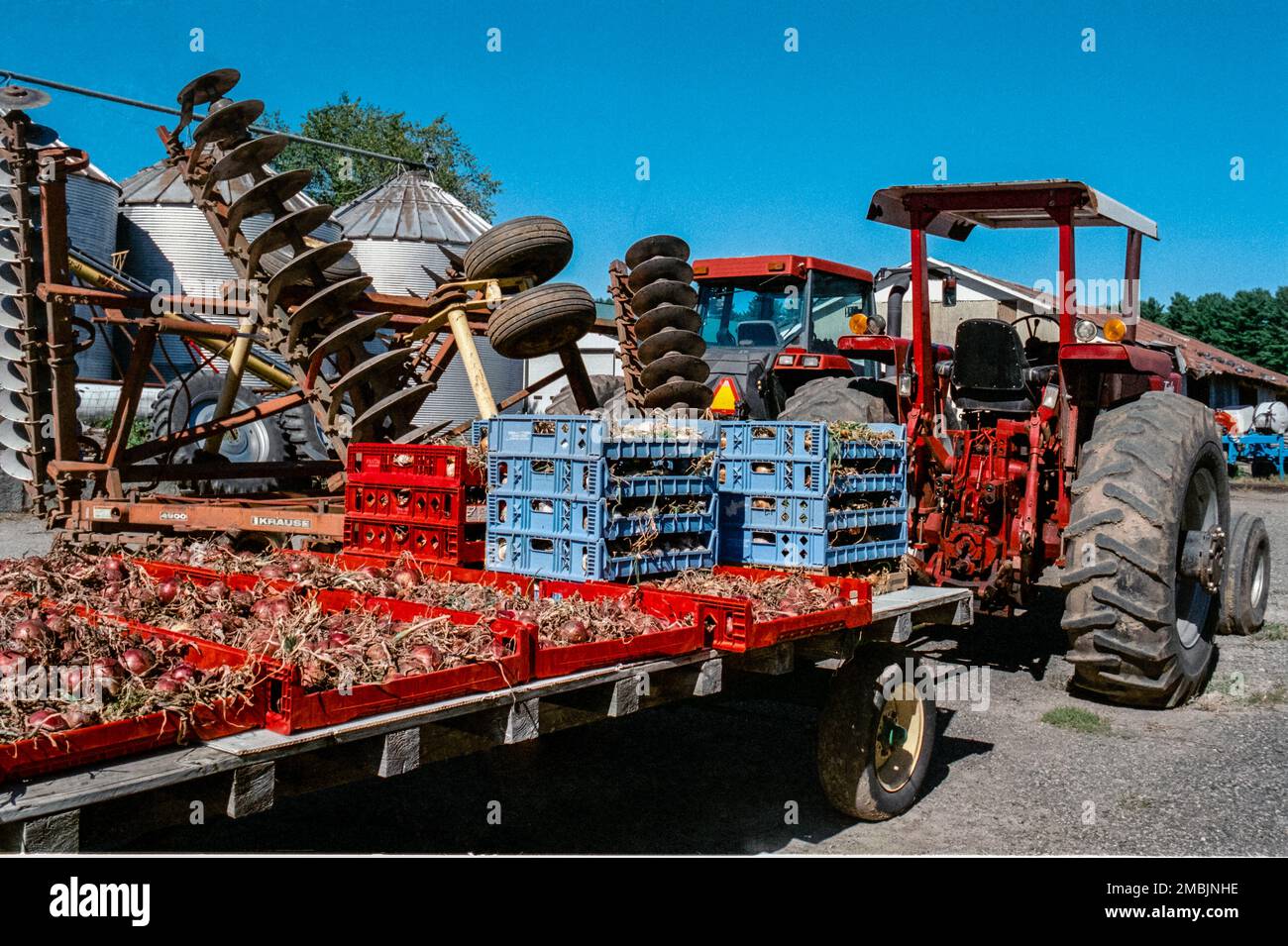 A trailer load of red onions in blue crates at Spring Brook Farm in ...