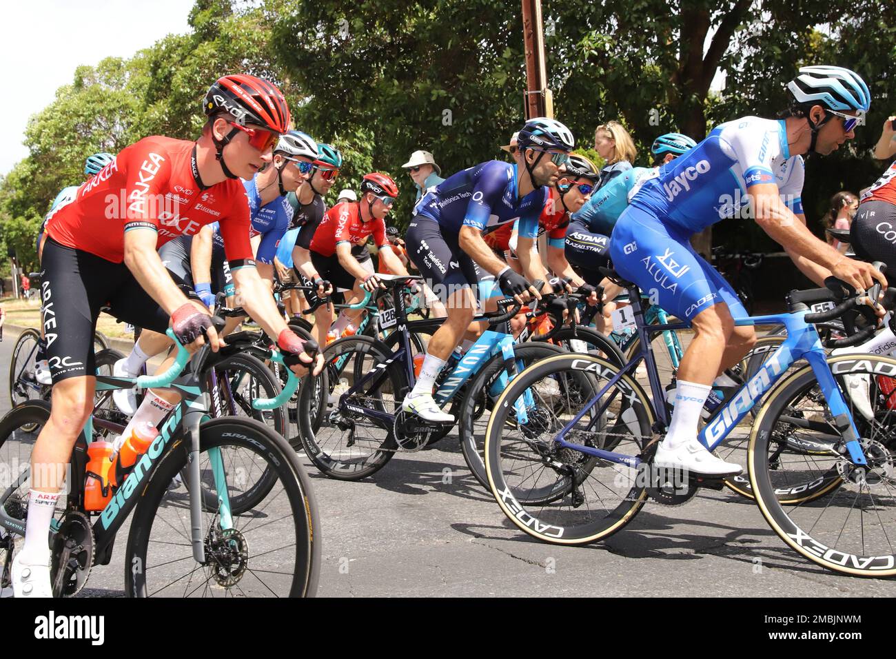 Riders competing in Stage 3 of the 2023 Tour Down Under in Adelaide ...