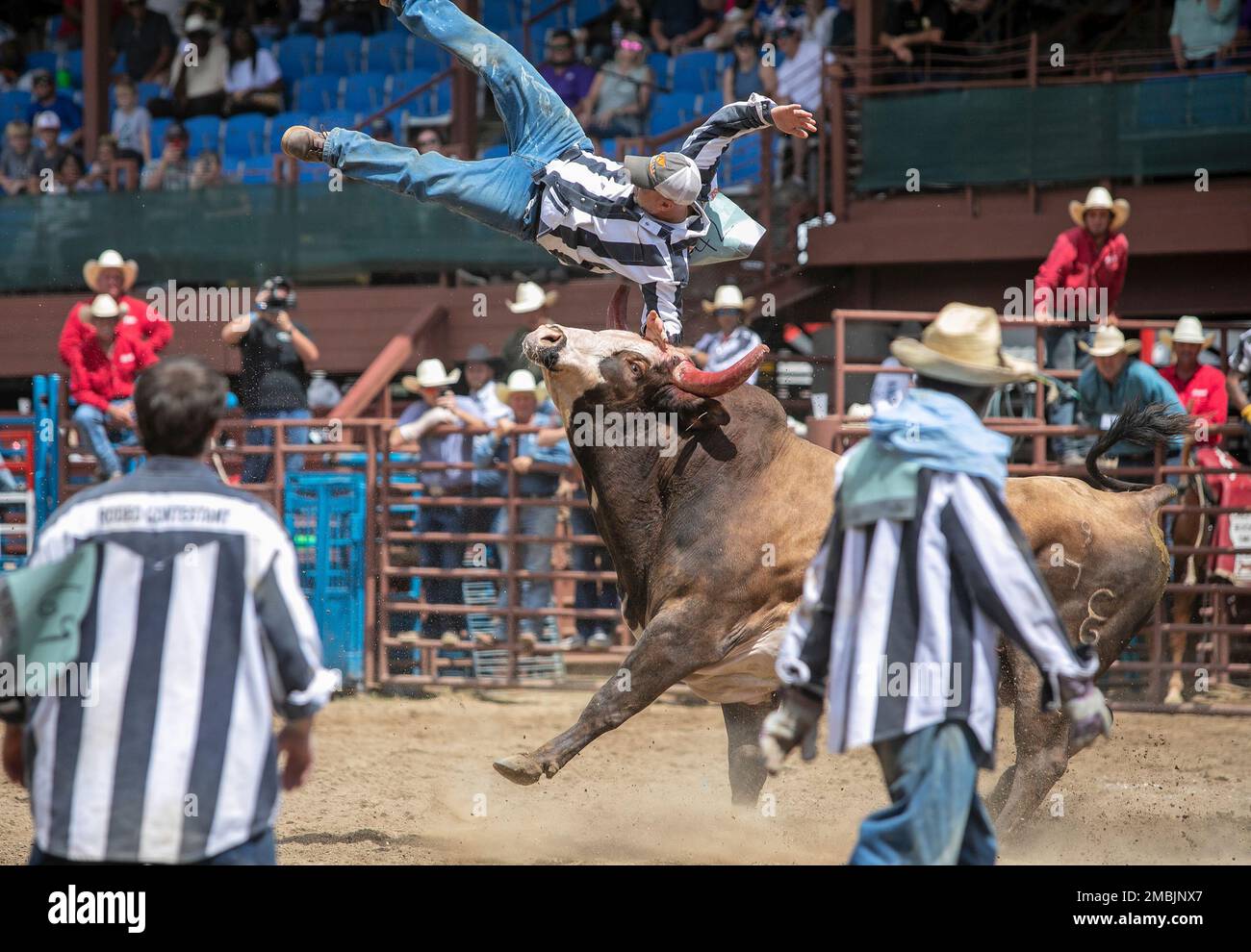 An inmate is flung high into the air and is seriously injured by a ...