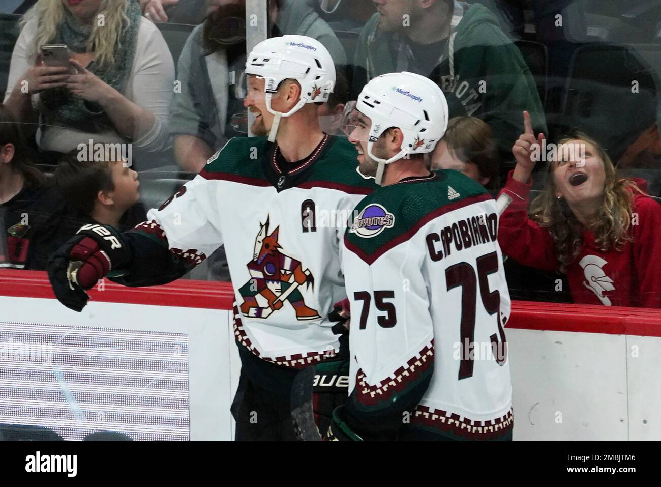 Arizona Coyotes' Anton Stralman, left, and Kyle Capobianco (75 ...