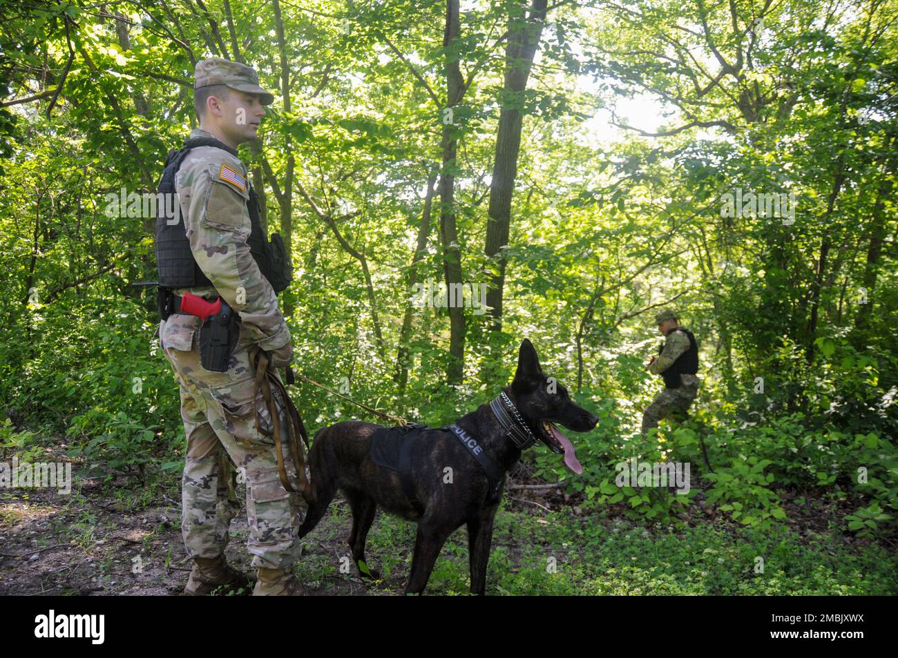 Pfc. Thomas Johnson, a Military Working Dog handler, and his K-9, Fiona ...
