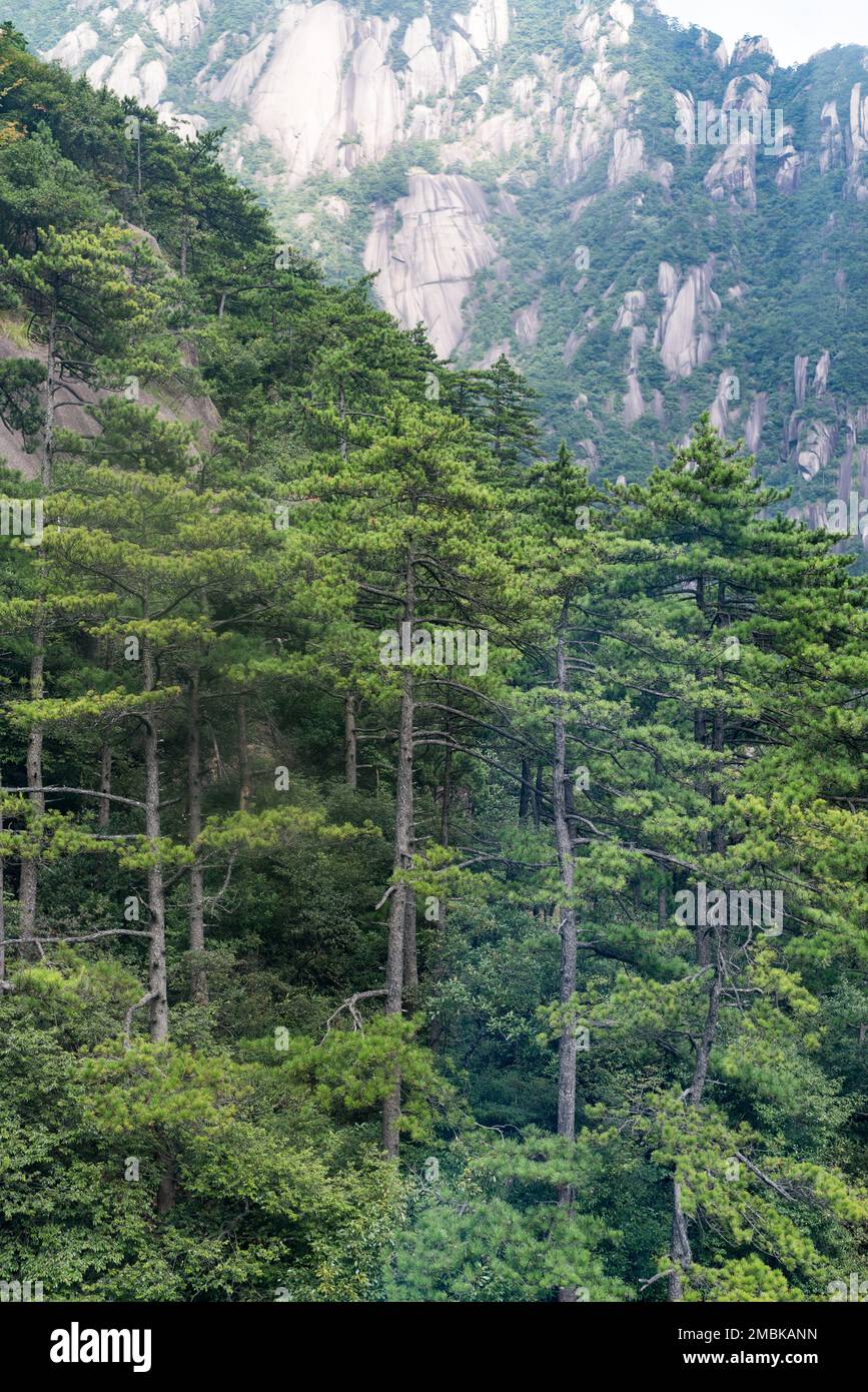 Anhui huangshan mountain scenery Stock Photo - Alamy