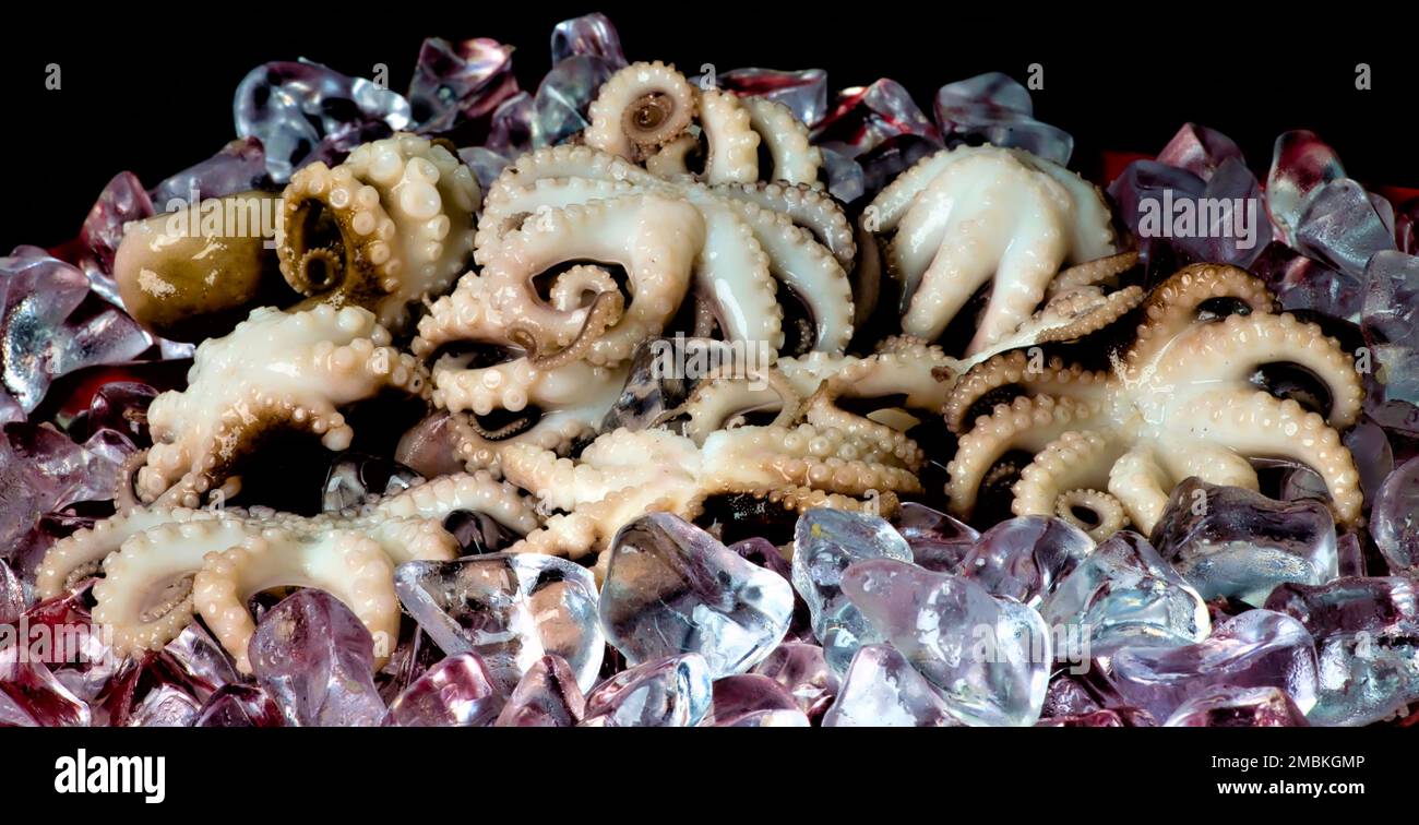 South East Asia baby octopus ready to eat on ice Stock Photo - Alamy