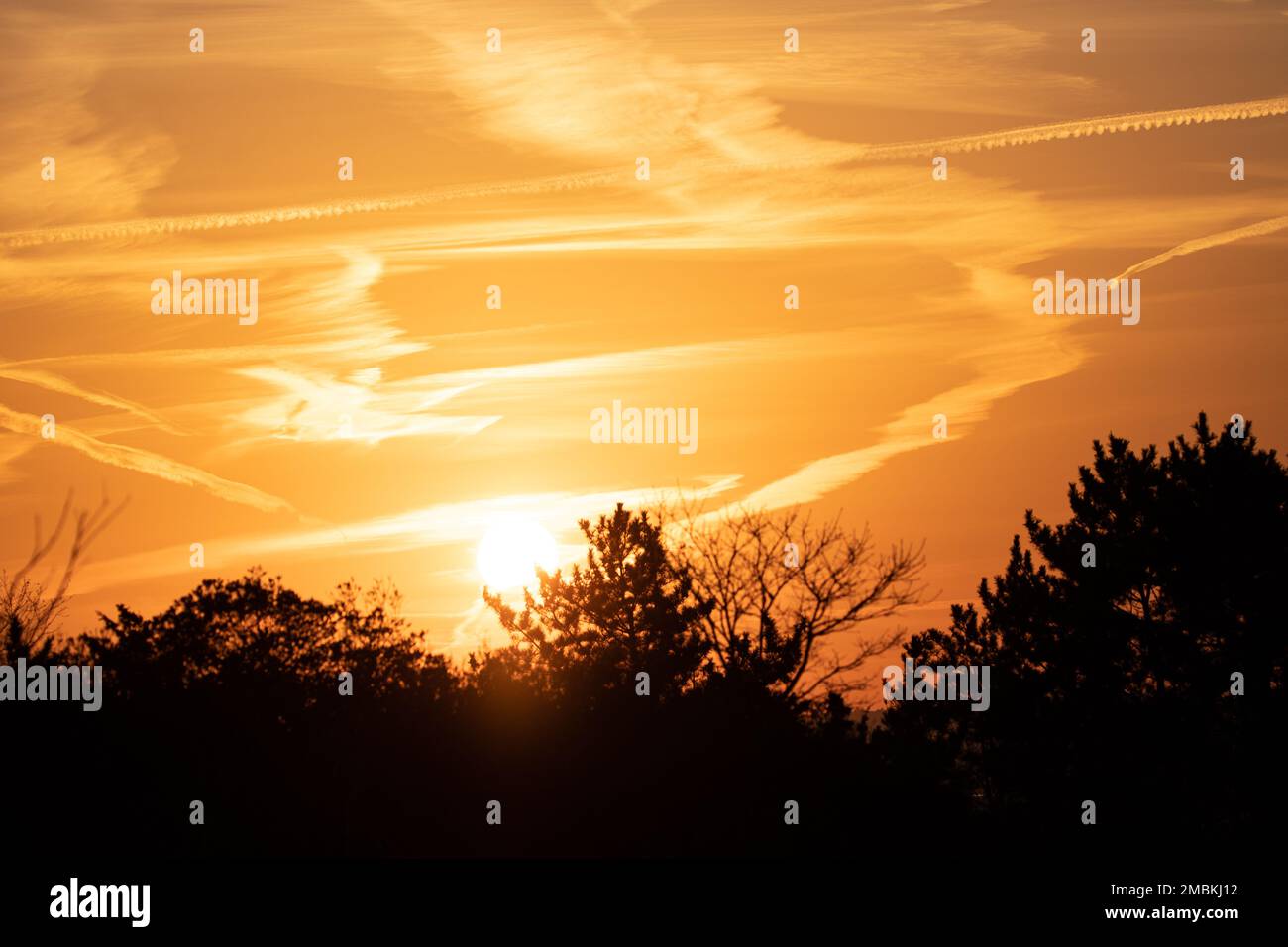 Colorful sunset over forest treeline Stock Photo - Alamy