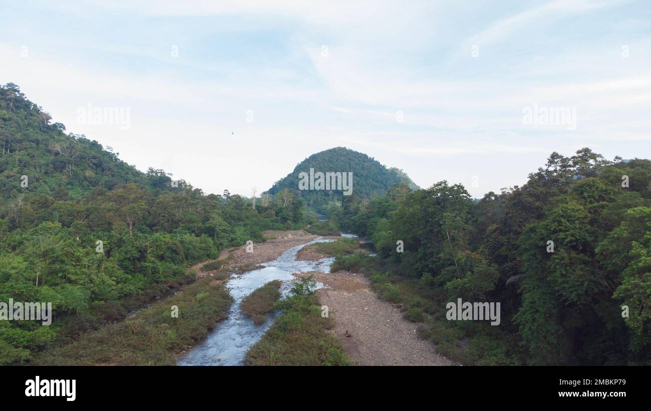 Shady rainforest hi-res stock photography and images - Alamy