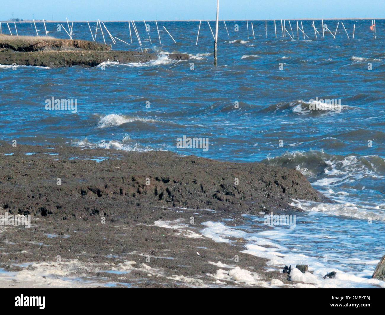 This March 30, 2021 photo shows an eroded shoreline in Little Egg ...