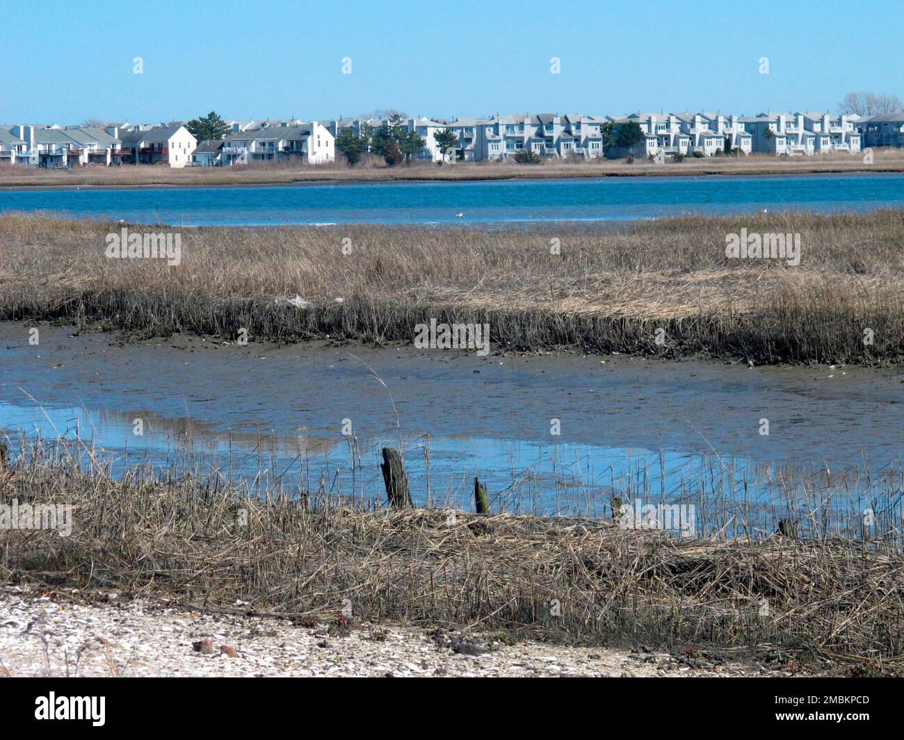 This March 30, 2021 photo shows salt marshes in Brigantine, N.J. New ...