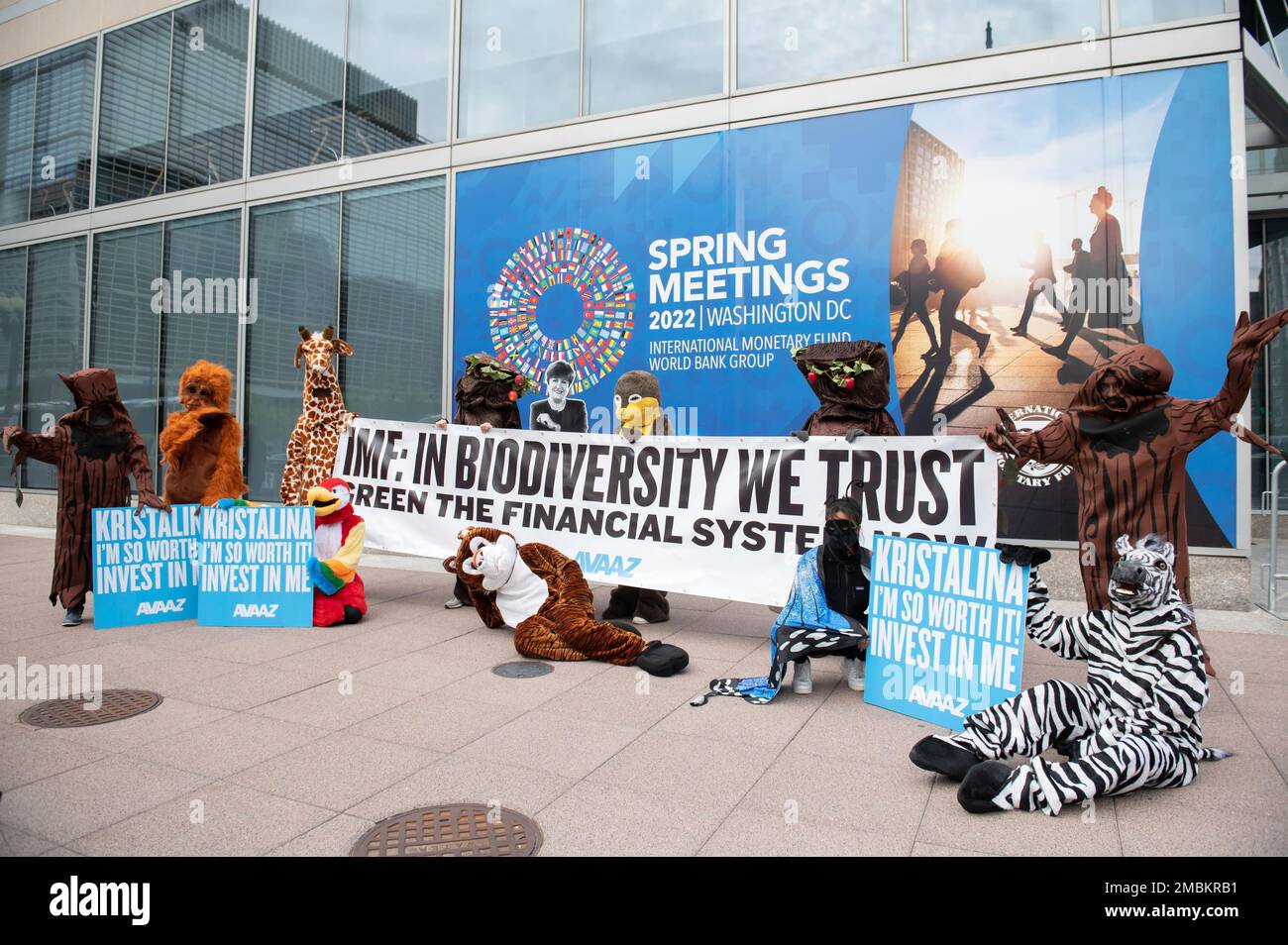 IMAGE DISTRIBUTED FOR AVAAZ - Avaaz activists dressed as animals and ...