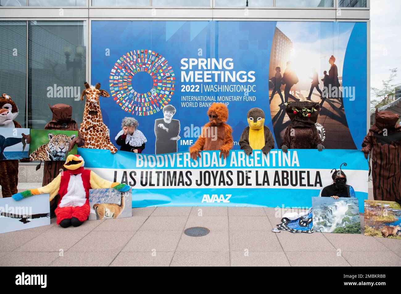 IMAGE DISTRIBUTED FOR AVAAZ - Avaaz activists dressed as animals and ...