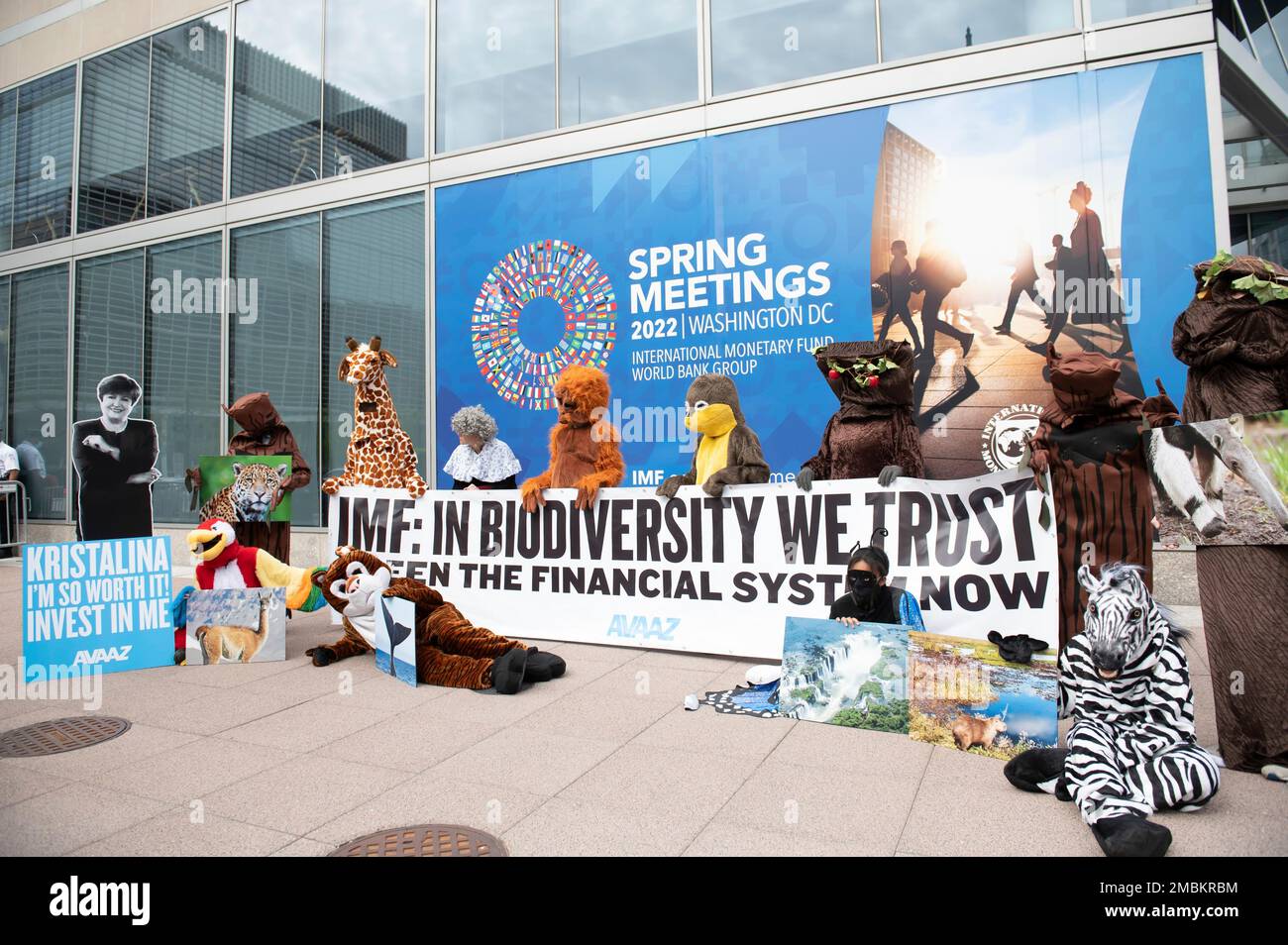 IMAGE DISTRIBUTED FOR AVAAZ - Avaaz activists dressed as animals and ...