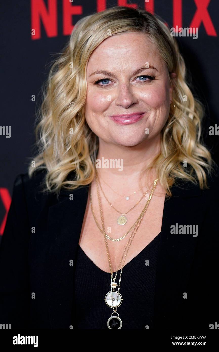 Amy Poehler attends the premiere of Netflix's "Russian Doll" season two ...