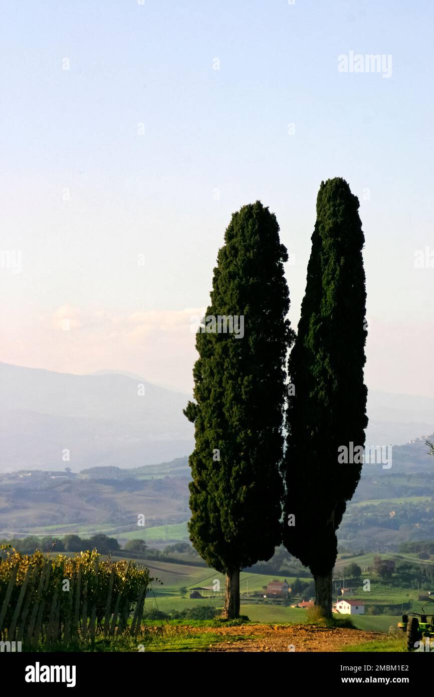 Two Cypress trees with view over Tuscany landscape, Italy Stock Photo ...