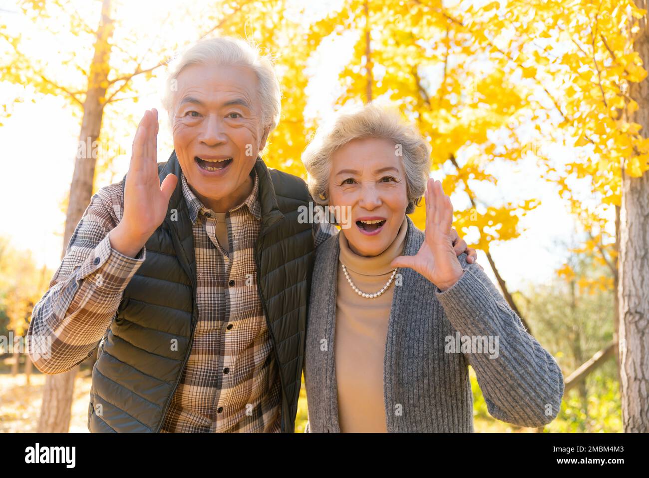 Sweet elderly couples Stock Photo - Alamy