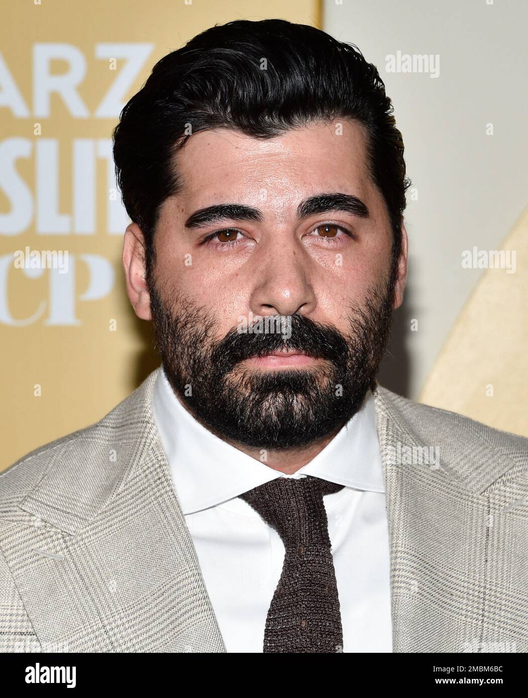 Don DiPetta attends the premiere for "Gaslit" at The Metropolitan ...