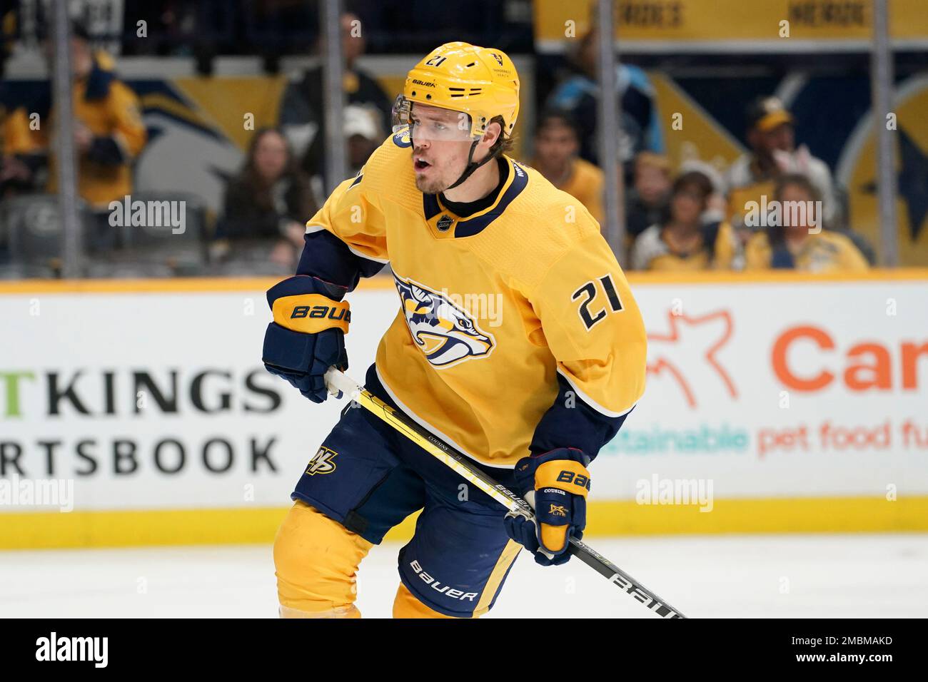Nashville Predators' Nick Cousins plays against the St. Louis Blues in ...