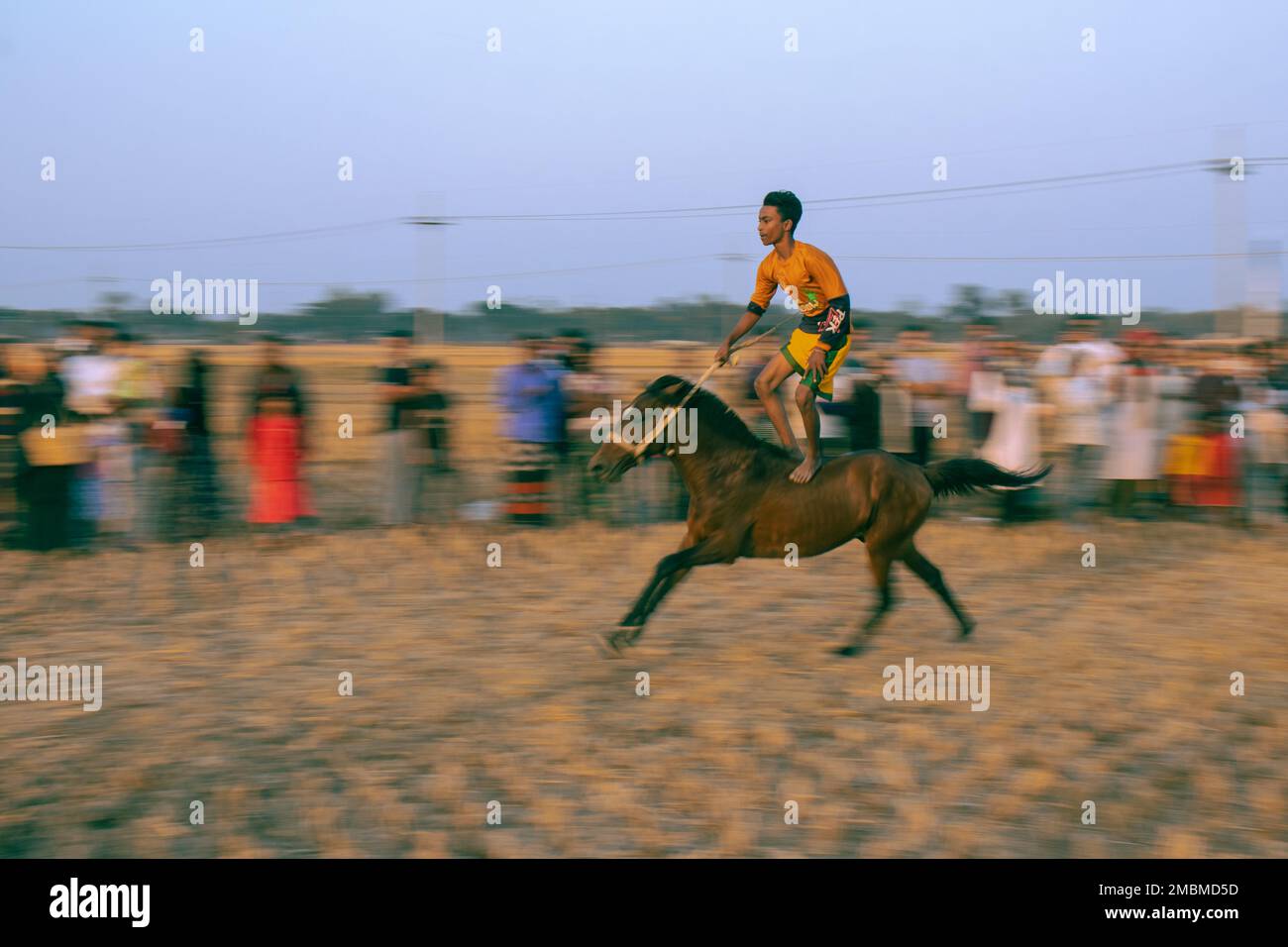 Traditional rural horse race in Bangladesh, young rider standing on ...