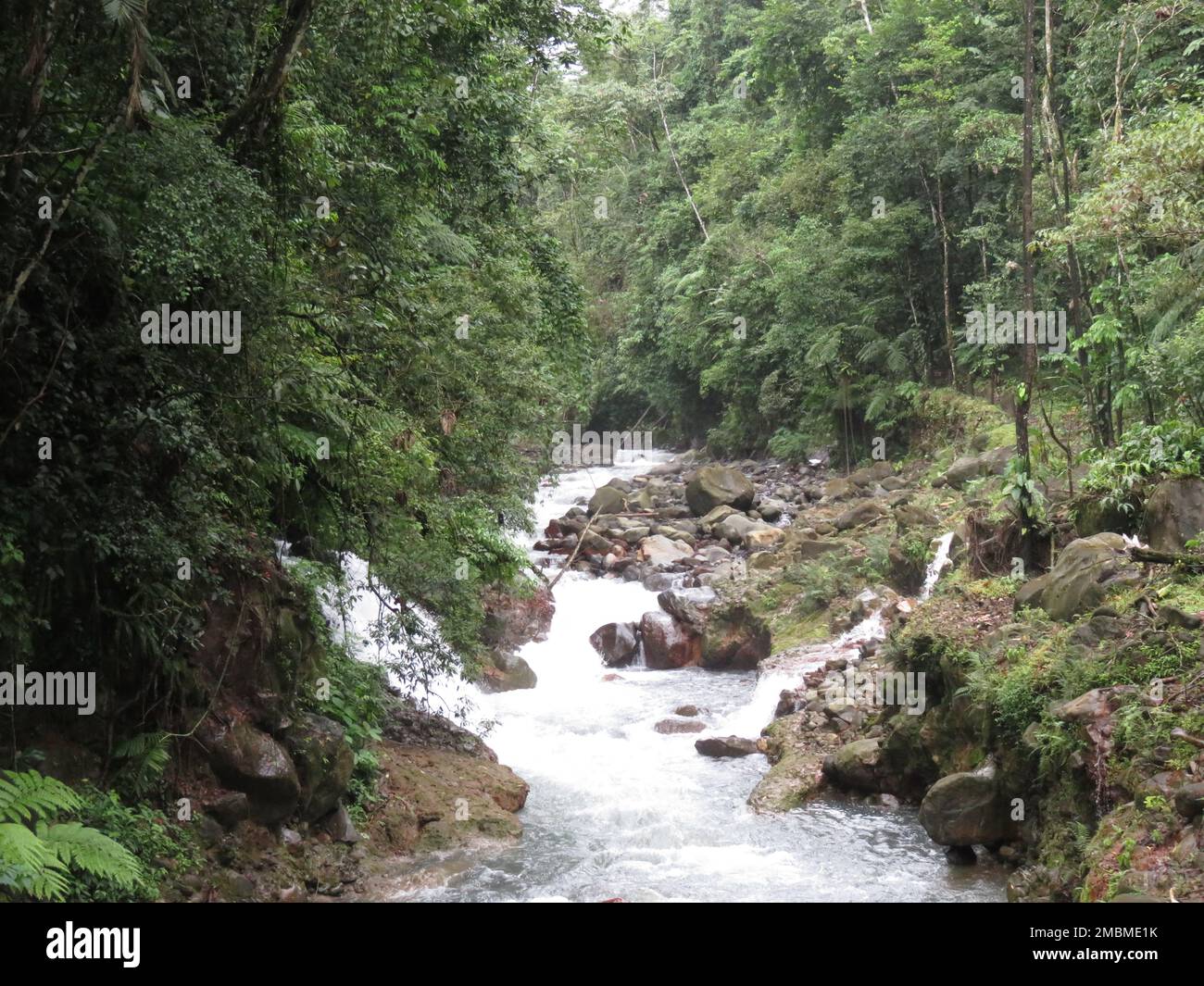 Costa Rica Natural Ecosystem and Tourism Stock Photo - Alamy