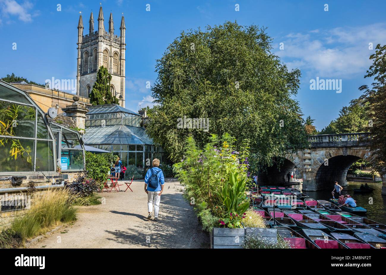 Oxford botanic garden greenhouses hi-res stock photography and images ...