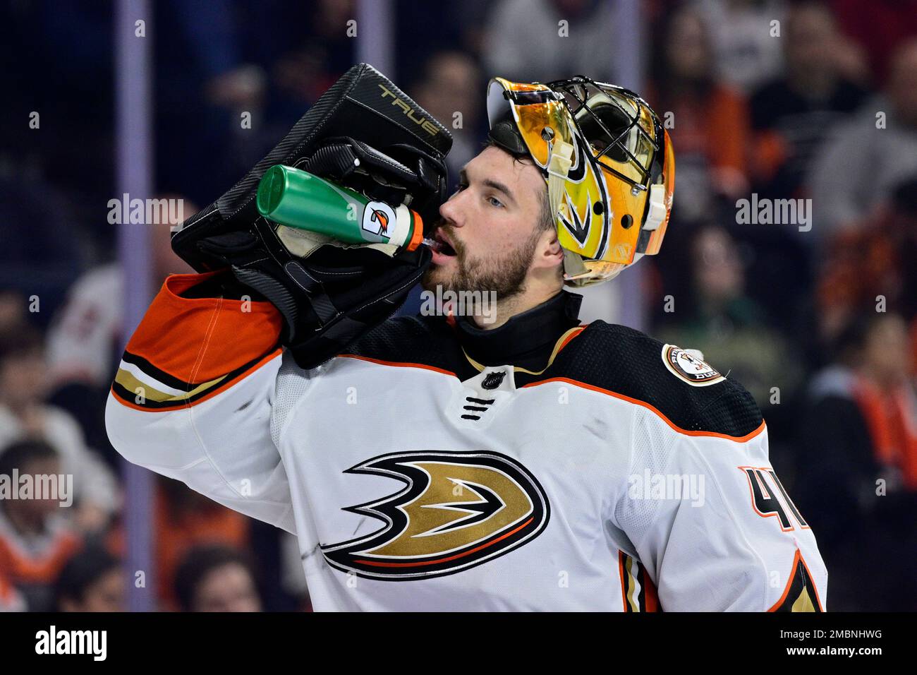 Anaheim Ducks goaltender Anthony Stolarz in action during an NHL hockey ...
