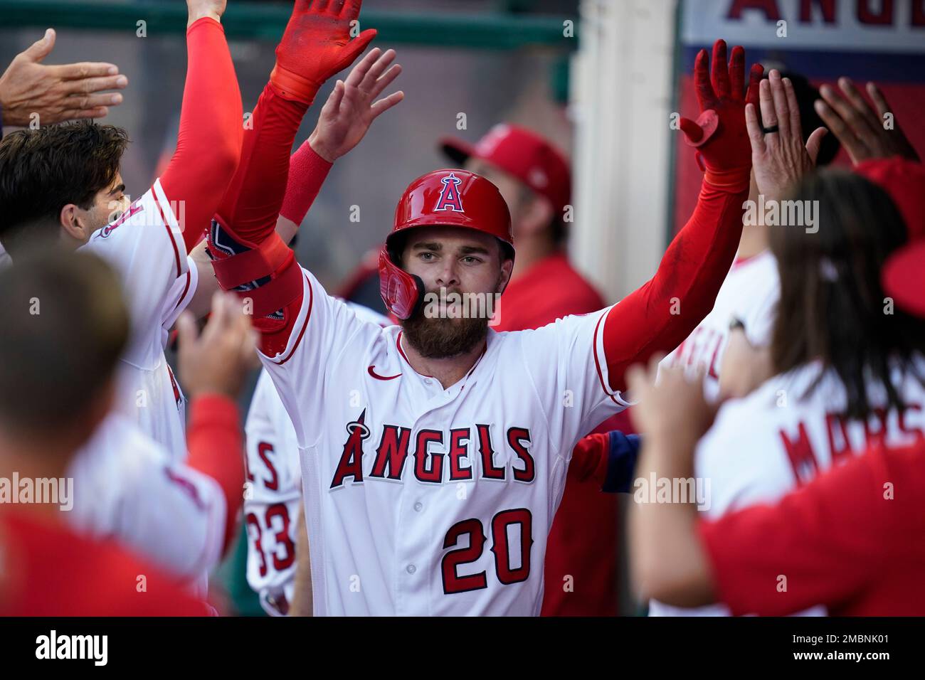Los Angeles Angels' Jared Walsh (20) celebrates with teammates in the ...