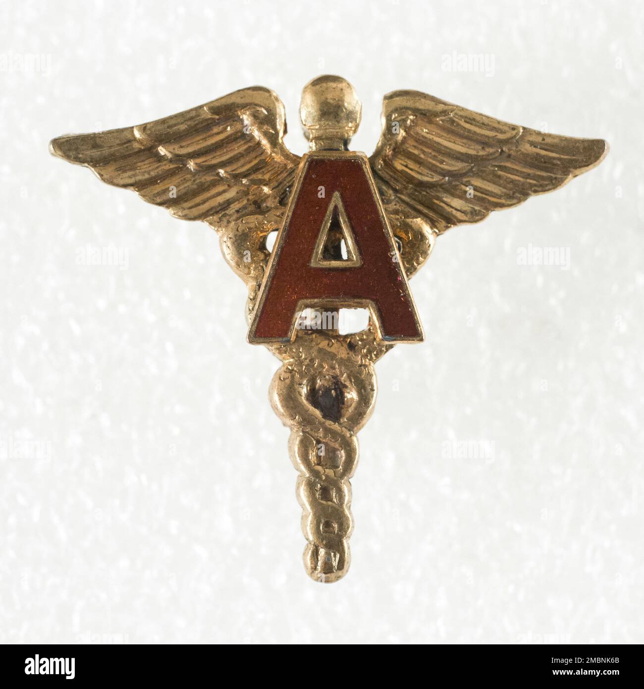 The story of the U.S. Army Medical Service Corps is evolutionary ...