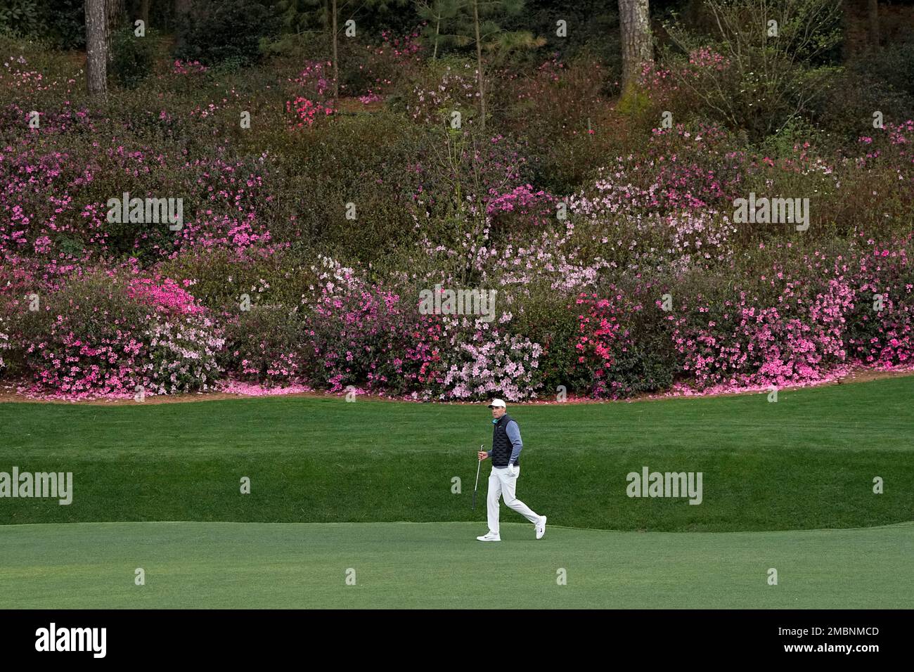 Scottie Scheffler walks on the 13th fairway during the third round at ...