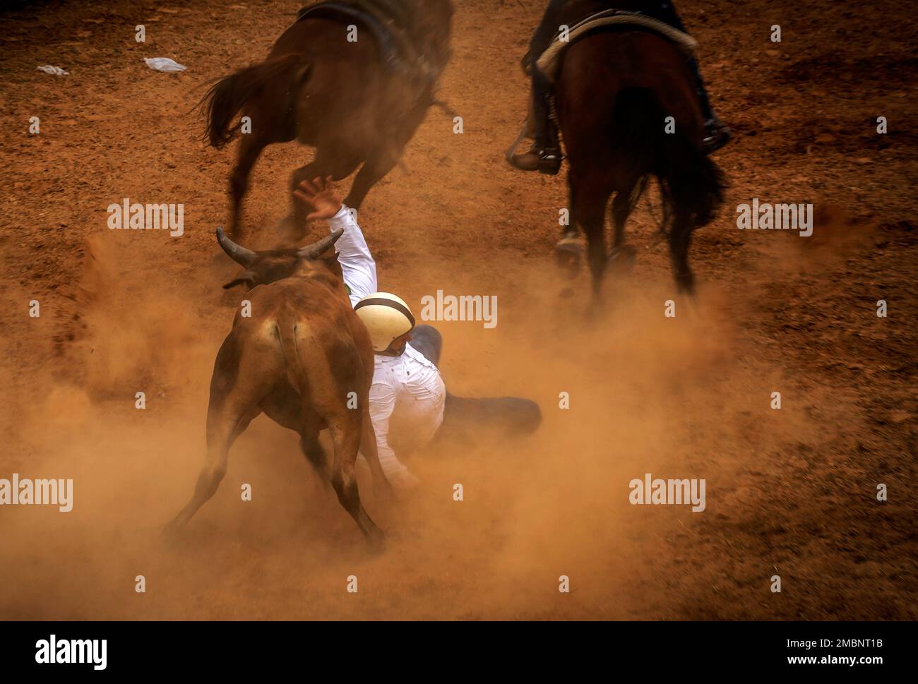Rodeo Fails