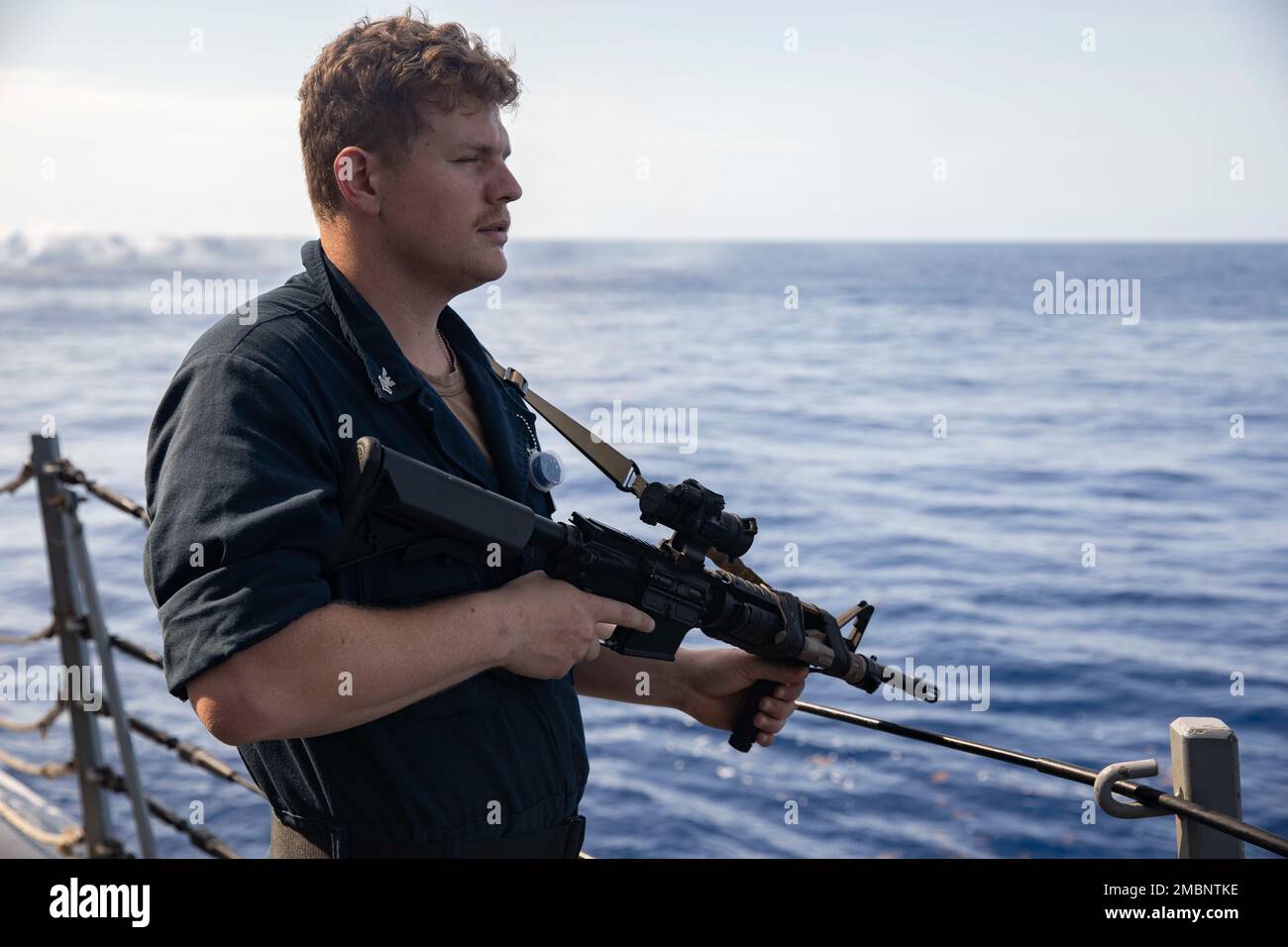 Shark with mate hi-res stock photography and images - Alamy