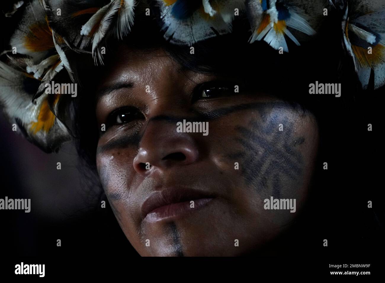 A Tembe Indigenous woman attends a ceremony called the Meeting of the ...