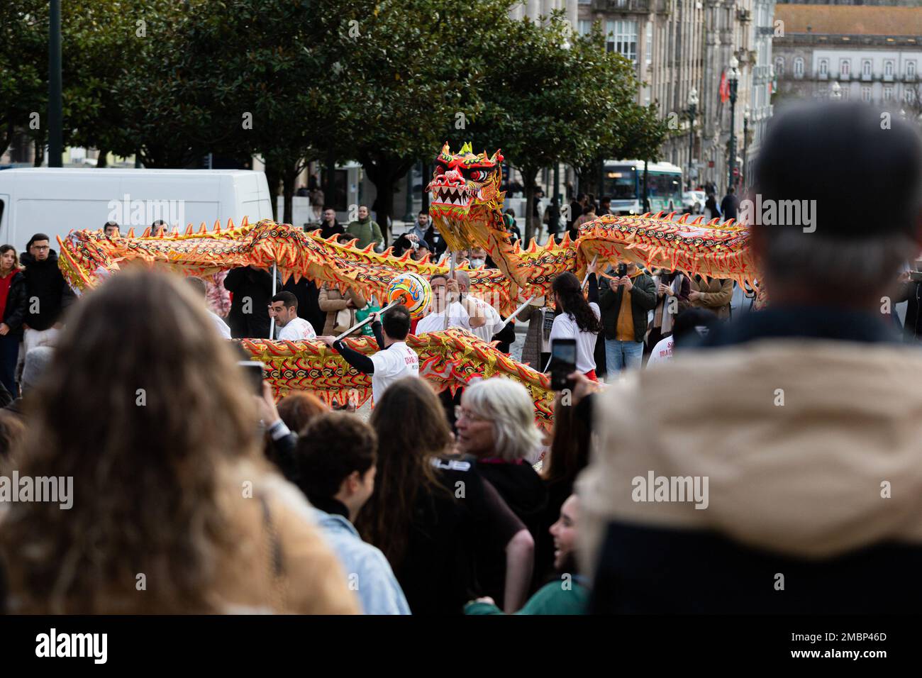 Dragon Dance, elements of the She-Si Chinese martial arts school in ...