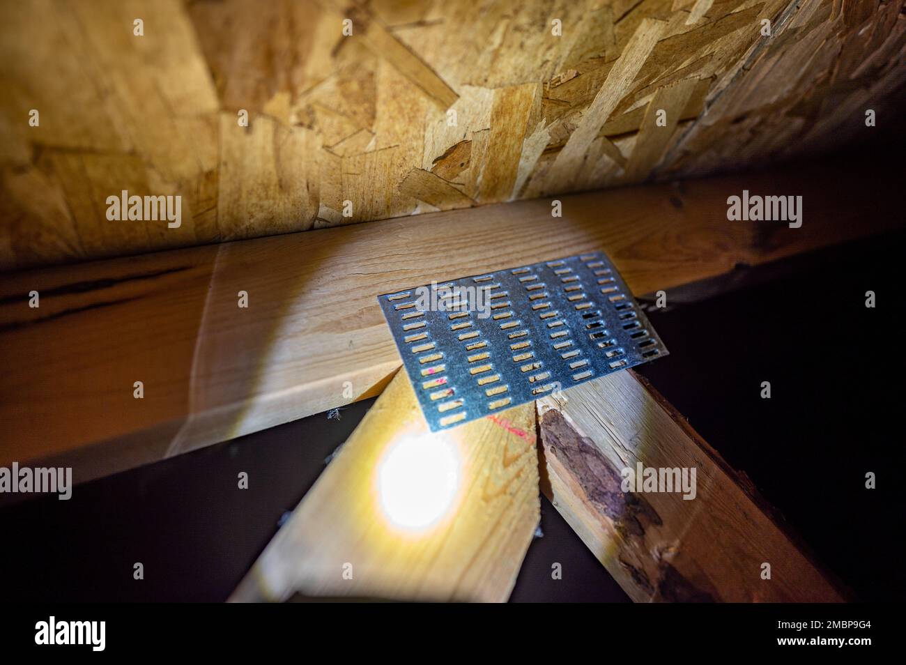 Rafter galvanized mending nail plate in an attic connecting a joint ...